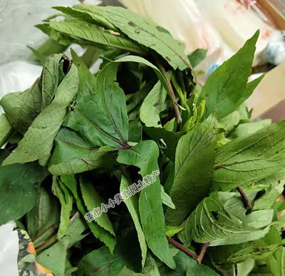 新鲜菜食材现货500克叶子