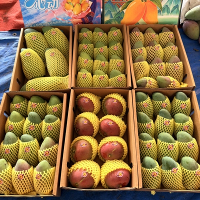 广西百色田东芒果新鲜青皮芒果当季整箱批发