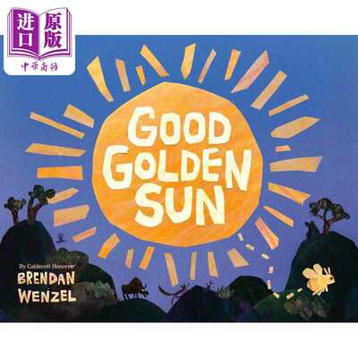 进口原版 *好阳光 Good Golden Sun 英文原版 儿童绘本 图画故事书 精装读物 进口童书 畅销书他们都看见了一只猫的   Little, Bro
