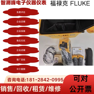 福禄克TI系列红外热成像测温仪