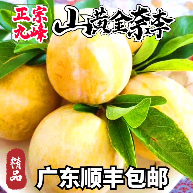 九峰山黄金奈李恐龙蛋蜂糖脆甜脱骨李子新鲜水果10斤全国顺丰包邮