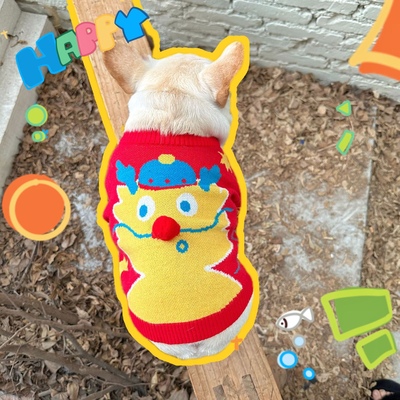 新年龙年狗狗法斗雪纳瑞柯基毛衣