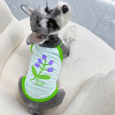 夏季薄款冰感法斗巴哥雪纳瑞背心