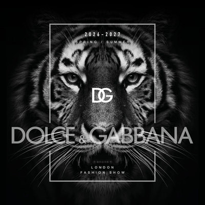 Dolce & Gabbana D&G PPT 模板 130 页 意大利奢侈品牌分析调研