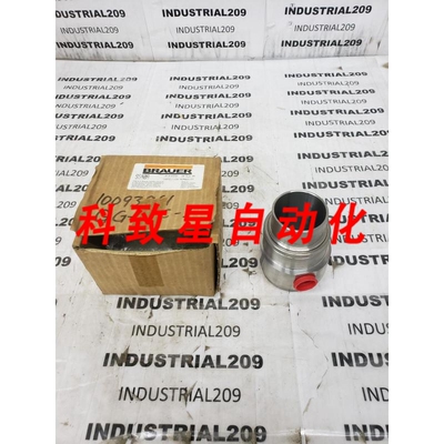 工业配件BRAUER 01908 SS40A