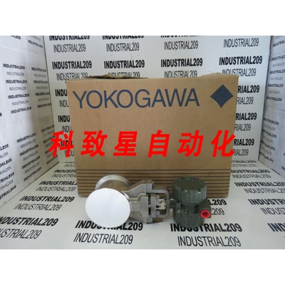 工业配件数字 YEWFLO 流量计 DY080-DBMAA1N/FF1/SCT