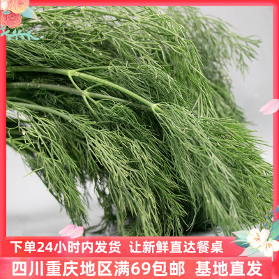 成都好特蔬莳萝草刁草时萝西餐香料Dill 顺丰包邮 250克