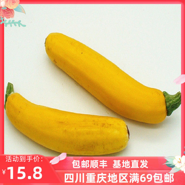 黄节瓜西餐小南瓜新鲜蔬菜西餐食材顺丰包邮Yellow Squash 500g_虎窝淘