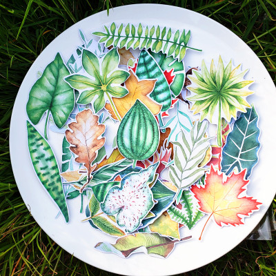 43片树叶贴纸纸质平面