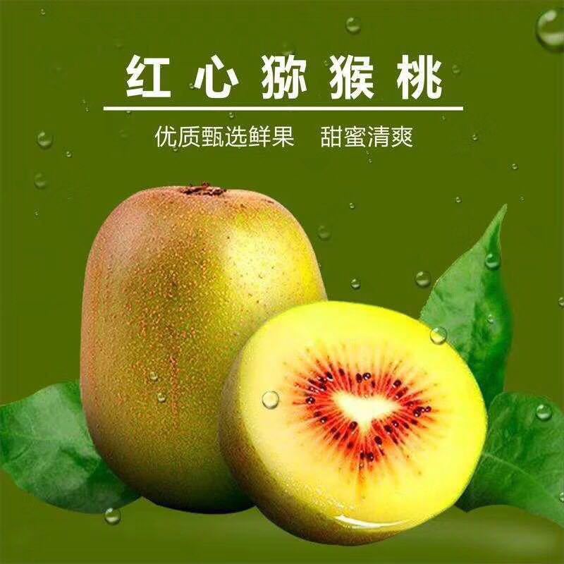 品质款 四川蒲江红心猕猴桃非徐香奇异果纯甜5斤新鲜水果一件代发