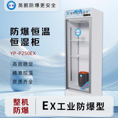 防爆玻璃单门工业实验室恒温恒湿柜250LYP-P250EX