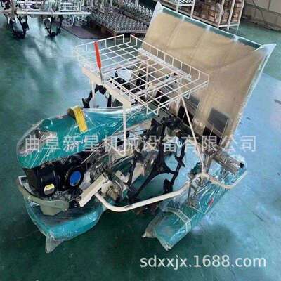 乘坐式高速低速六行水稻插苗机 不伤秧苗插秧机 水稻秧苗种植机