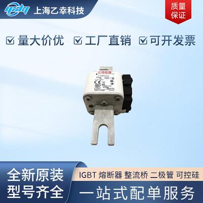 巴斯曼熔断器 170M4310 170M4311 170M4312 170M4313 170M4314