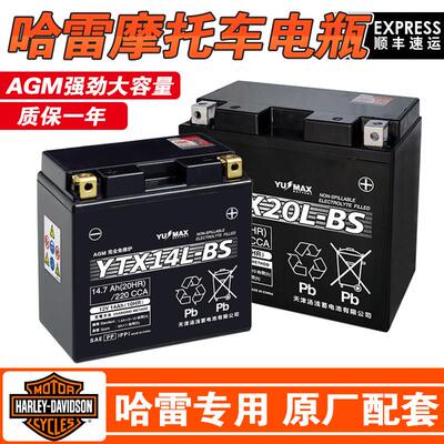 YTX14L-BS哈雷摩托车电瓶883硬汉1200泛美1250街霸YTX20L-BS电池