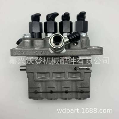 131010080 308-1905 10000-06101 10000-05837喷油泵用于帕金斯