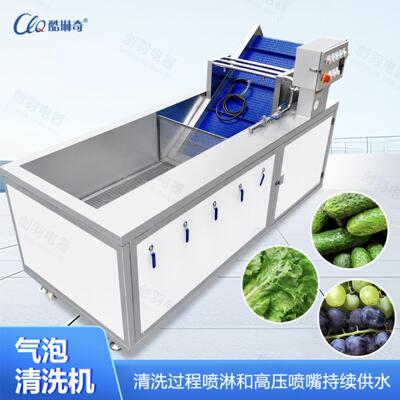 2024新RQS菜款商用2.25米臭氧冲浪上青大葱西红柿净菜带果水清洗