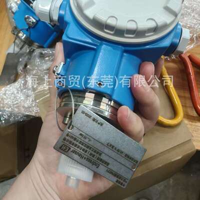 FTC262 AA64D1E+H恩德豪斯料位开关高压可调可调式