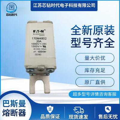 170M4811 170M4812 170M4813 巴斯曼BUSSMANN熔断器保险丝
