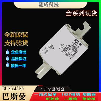 巴斯曼170M4189 170M4190 170M4191 大量现货批零兼营 快熔保险丝