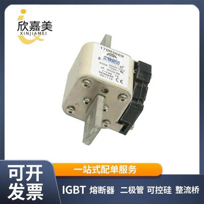 170M3473 170M3466 快速熔断器 电子元器件 型号齐全 量大价优