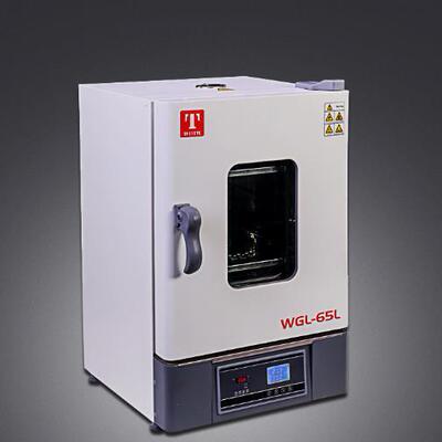 泰斯特实验室烘箱 WGL-L系列液晶屏显示鼓风干燥箱300℃