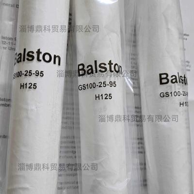 PARKER派克BALSTON正品过滤器滤清器替换滤芯滤筒GS3/100-25-95
