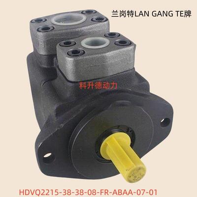 兰岗特LAN GANG TE定量叶片泵 HDVQ2215-38-38-08-FR-ABAA-07-01