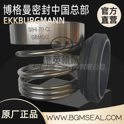 德国斯特林SIHI希赫LEMC50 AZ真空泵轴封SIHI-34/301机械密封件