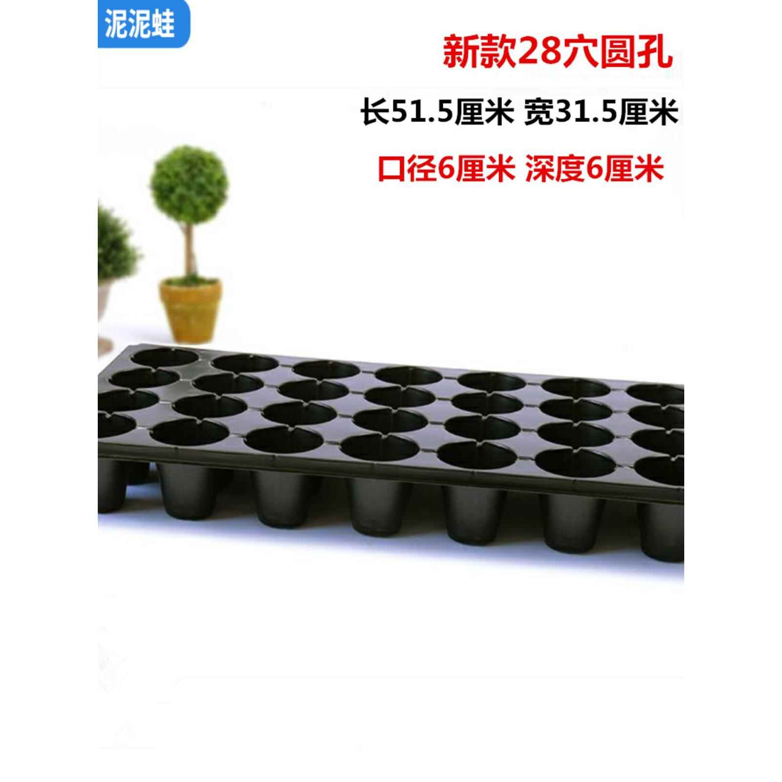 育苗穴盘营养钵塑料育苗杯辣椒育苗盘多肉蔬菜草莓苗木育苗器扦插