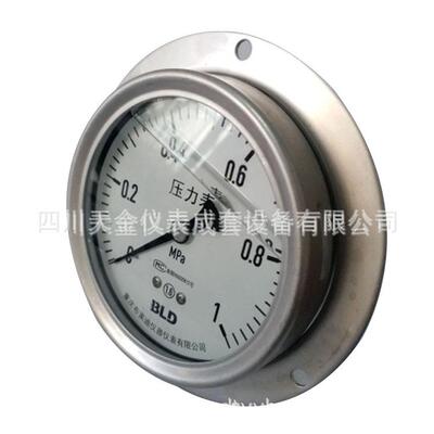 重庆布莱迪仪器仪表有限公司YTN-100HZT不锈钢耐震压力表M20*1.5