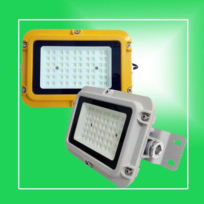 SZSW8175尚为照明四防灯自带应急12V24V隧道照明投光灯