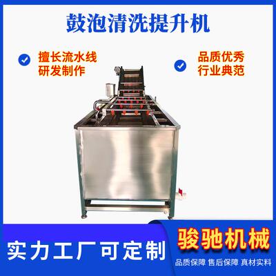 瓜果蔬菜清洗机大型升降式气泡清洗设备全自动不锈钢洗菜提升机