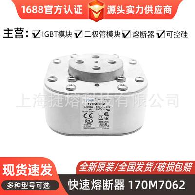 170M7062 170M7063 快速熔断器 保险丝 电子元器件 量大价优