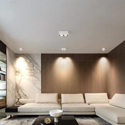 d顶明装筒灯照明盒子灯双头斗胆灯栅灯过道XXF玄关吸射灯l格e灯