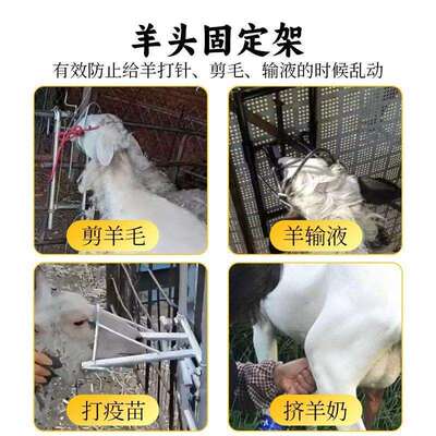 羊头固定架定剪毛子新款打针挤RIJ羊奶修蹄配种推固毛羊头支架架