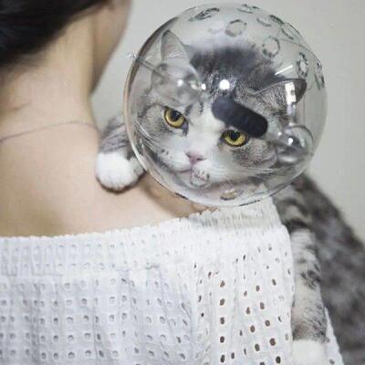 Anti Bite Cat Bubble Muzzle Protective Breathable Cat