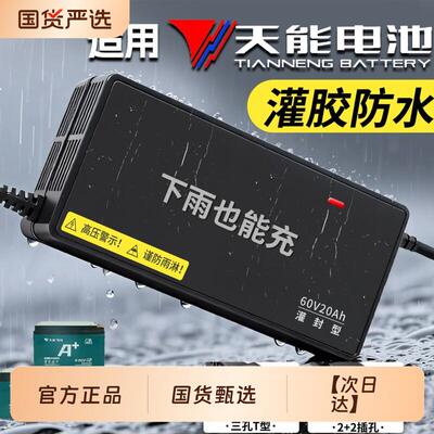 适配天能电池电动车电瓶充电器48V12AH60V20安72铅酸石墨烯