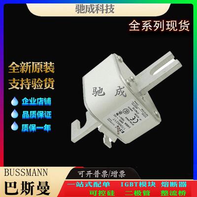 巴斯曼170M6216 170M6217 170M6218 加工制作价格优惠 原装熔断器