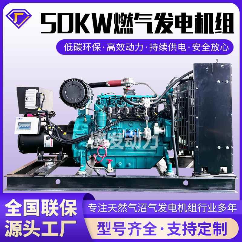 50kw燃气发电机组博发动力厂家小型50千瓦天然气沼气发电机