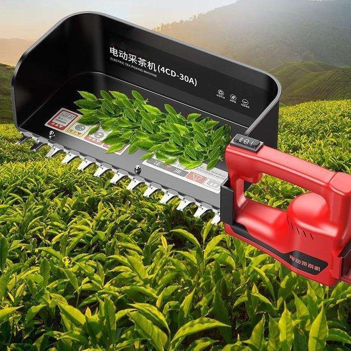 电动剪茶机单人采摘机便携式绿篱机手提修剪机采茶机