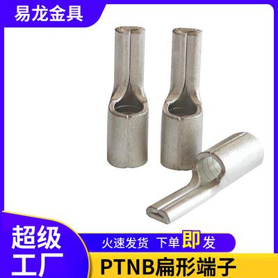 PTNB紫铜国标高质铜线耳针形端头扁形裸端子片形冷压接线铜线鼻子