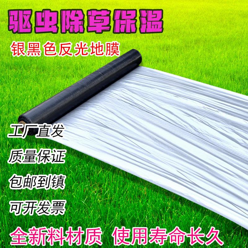 农用种植银黑地膜反光双色塑料薄膜果树果园保温保湿增温加厚除草