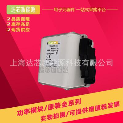 170M6538 170M6539 170M6540 170M6541 170M6542 170M6543熔断器