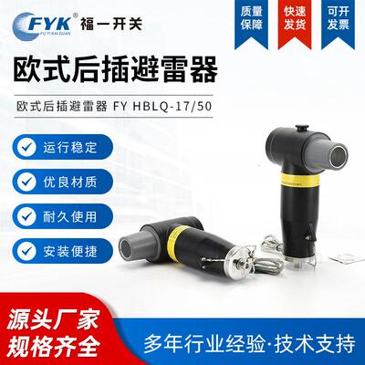 厂家供应欧式后插避雷器 HBLQ-17.50 高压可触摸T型后电缆插拔头