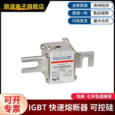PC31UD69V500A-D300015 PC31UD69V500EF-H300042罗兰快速熔断器