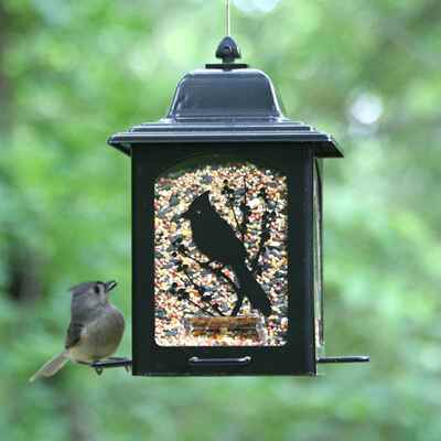 院铁艺可伸缩防松鼠喂金鸟户外悬挂wnq09211式属鸟类喂水器投食器