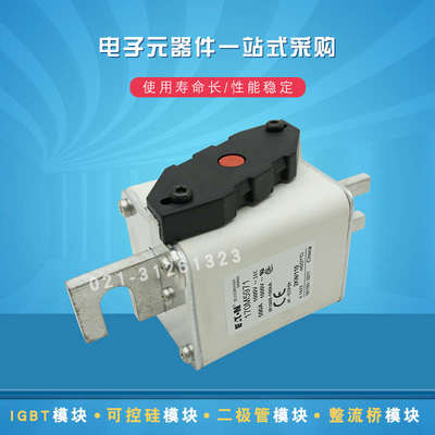快速熔断器保险丝170M5975 5981 5982 5983 5984 5985 5986 5987