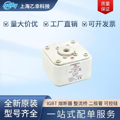 巴斯曼熔断器 170M6461 170M6462 170M6463 170M6464 170M6465