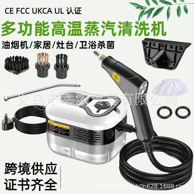 蒸汽清洁机3.5BAR布艺清洗机Steam Cleaner高温高压蒸汽清洗机