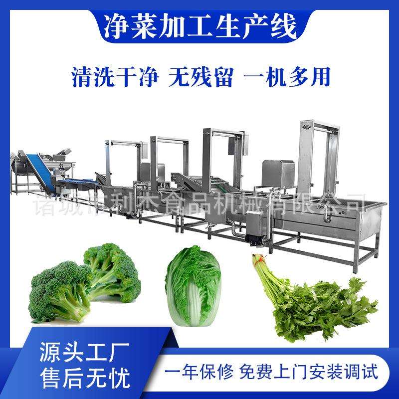 供应全自动叶菜类气泡清洗线 蔬菜涡流清洗机 蔬菜腌制加工流水线
